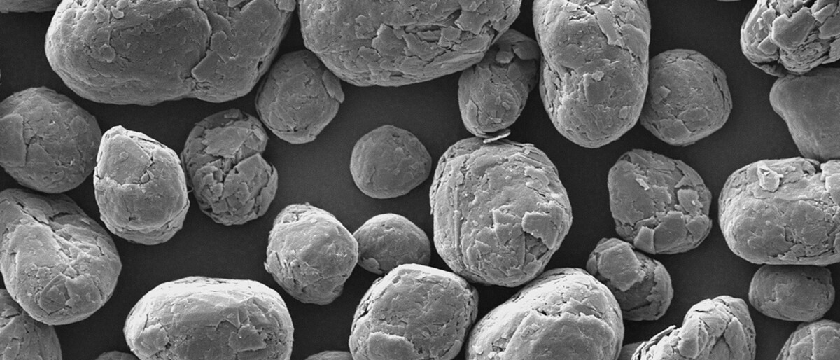 Spherical Graphite - NETZSCH Grinding & Dispersing